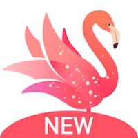 Yome Live for Android - Download the APK from Uptodown