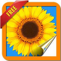 Art of Vincent van Gogh for Android - Download the APK from Uptodown