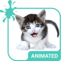 Meow Animated Keyboard + Live Wallpaper for Android - Download the APK ...