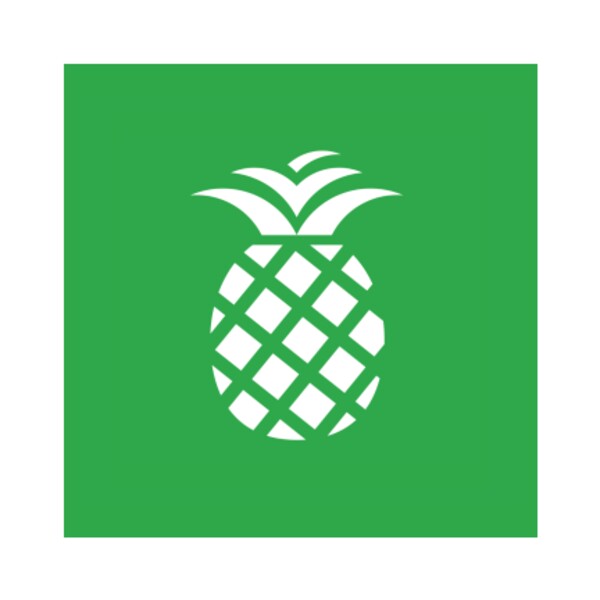 PineApp for Android - Download the APK from Uptodown