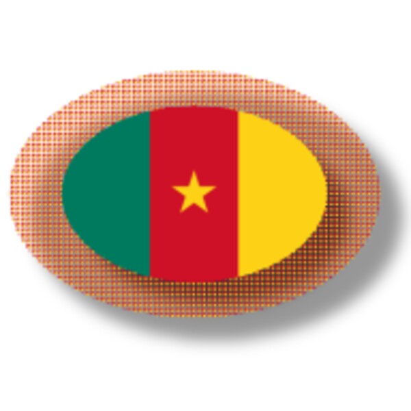 Cameroonian apps for Android - Download the APK from Uptodown