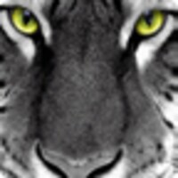 Talking Tiger for Android - Download the APK from Uptodown