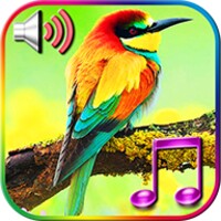 Birds Sound Ringtones for Android - Download the APK from Uptodown