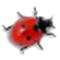 Ladybug on Desktop for Windows - Download it from Uptodown for free