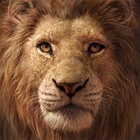 Beast Lord: The New Land for Android - Download the APK from Uptodown