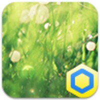 Forest for Android - Download the APK from Uptodown