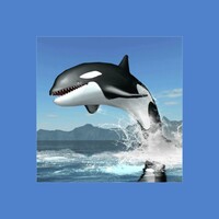 Orca Survival Simulator for Android - Download the APK from Uptodown