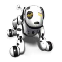 Zoomer for Android - Download the APK from Uptodown