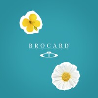 BROCARD for Android - Download the APK from Uptodown