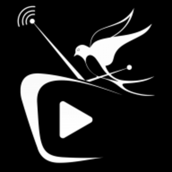 Radio Tele Hirondelle for Android - Download the APK from Uptodown