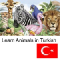 Learn Animals in Turkish for Android - Download the APK from Uptodown