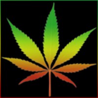Weed Reggaeton Keyboard for Android - Download the APK from Uptodown