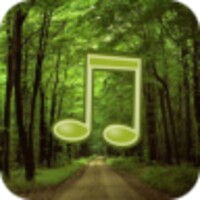 ForestSound para Android - Baixe o APK na Uptodown