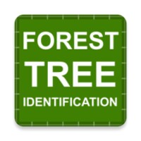 Forest Tree Identification for Android - Download the APK from Uptodown