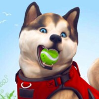 Pet Dog Simulator Dog Life Sim for Android - Download the APK from Uptodown