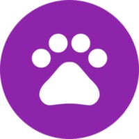 Petindo for Android - Download the APK from Uptodown