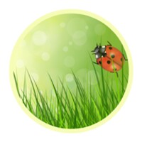 Pure Nature Free Live Wallpaper For Android Download The Apk From