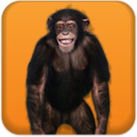 Talking Monkey for Android - Download the APK from Uptodown