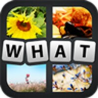 1 Word in 4 Pics for Android - Download the APK from Uptodown