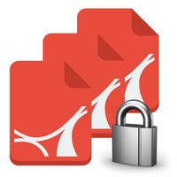 Batch PDF Encryptor for Windows - Download it from Uptodown for free