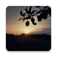 MyFamilyMe Gedcom for Android - Download the APK from Uptodown