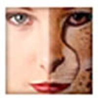 Abrosoft FantaMorph para Windows - Descarga gratis en Uptodown