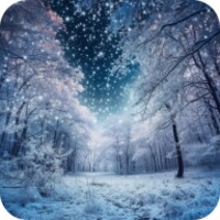 Winter Wallpaper for Android - Download the APK from Uptodown