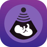 Layout for Android - Download the APK from Uptodown