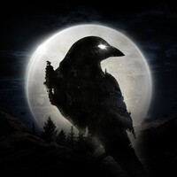 NIGHT CROWS for Windows - Download it from Uptodown for free