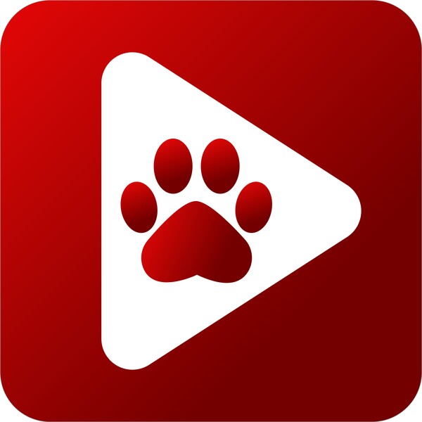 Bear Player for Android - Download the APK from Uptodown