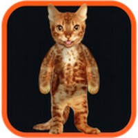 Real Talking Cat for Android - Download the APK from Uptodown