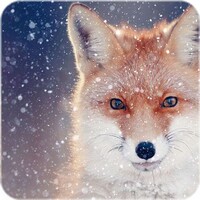 fox Wallpaper for Android - Download the APK from Uptodown