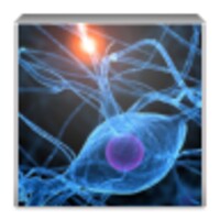 Iq scanner for Android - Download the APK from Uptodown