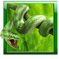 Snake Live Wallpaper for Android - Download the APK from Uptodown