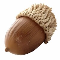 SQuirreL SQL for Windows - Download it from Uptodown for free