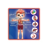 The Learning App - Kids Body Parts Learning for Android - Download the ...