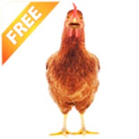 Real Talking Chicken for Android - Download the APK from Uptodown