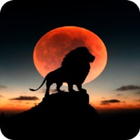 Animal Wallpapers HD for Android - Download the APK from Uptodown