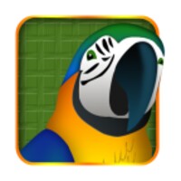 Talking Parrot for Android - Download the APK from Uptodown