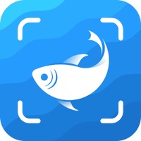 Picture Fish - Fish Identifier for Android - Download the APK from Uptodown