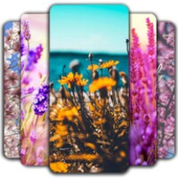 Spring Wallpaper for Android - Download the APK from Uptodown