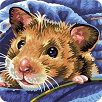 Hamster Puzzles for Android - Download the APK from Uptodown