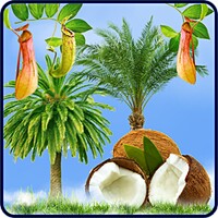 Tropic HD for Android - Download the APK from Uptodown