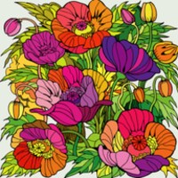 Wonder Color - Free Style Coloring Book for Android - Download the APK ...