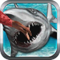 Wild Shark Attack Simulator 3D for Android - Download the APK from Uptodown