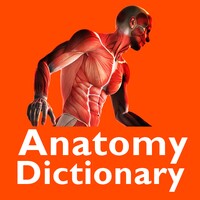 Anatomy Dictionary for Android - Download the APK from Uptodown