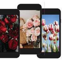 flower wallpaper สำหรับ Android - ดาวน์โหลด APK จาก Uptodown
