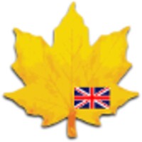 Learn English widget for Android - Download the APK from Uptodown