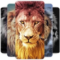 Android için Lion Wallpapers HD - Uptodown’dan APK’yı indirin