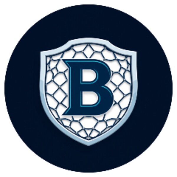 B SHIELD NET 2.5 pour Android - Télécharge l'APK vérifié depuis Uptodown
